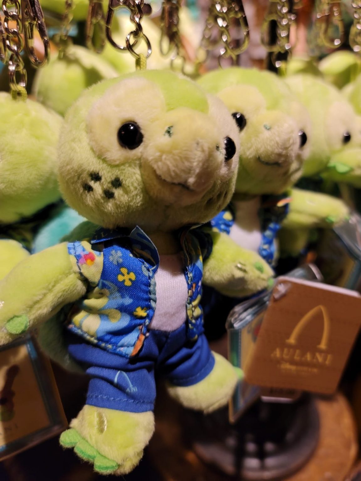 ʻOlu Mel The Sea Turtle Merchandise Arrives at Disney’s Polynesian ...